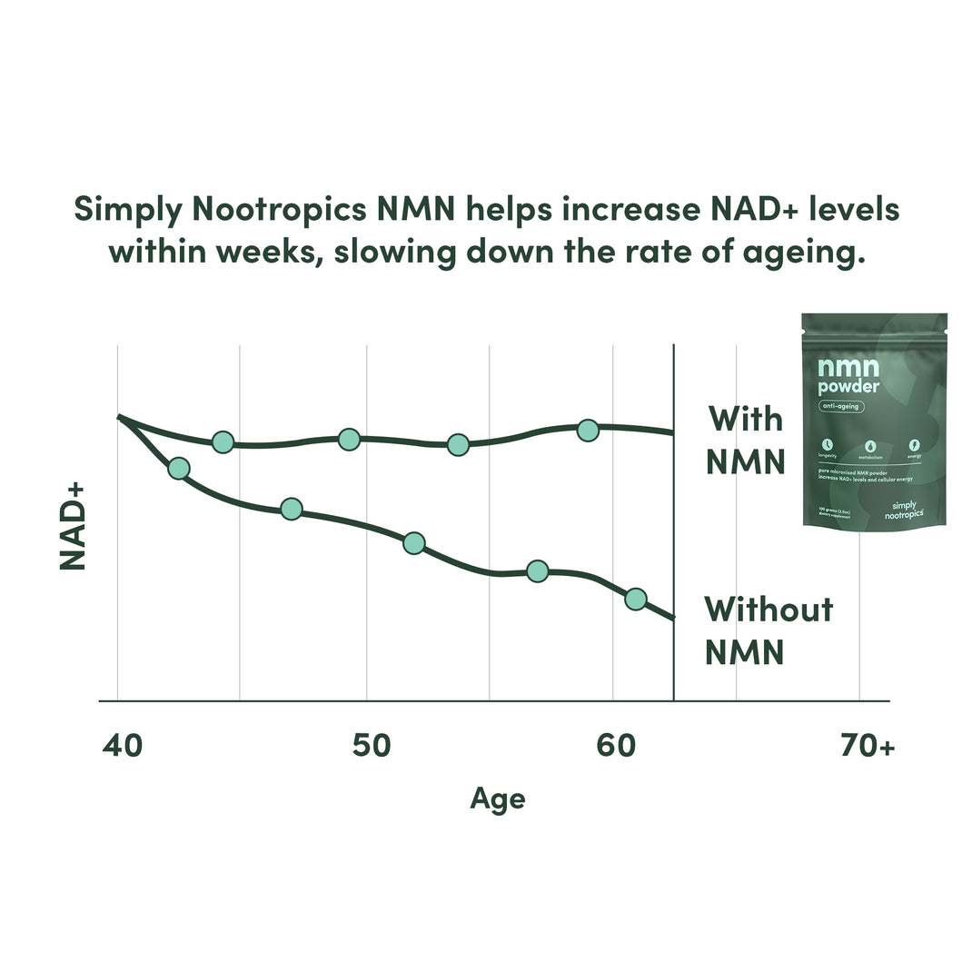 NMN Powder Supplements: Pharmaceutical Grade to Increase NAD+